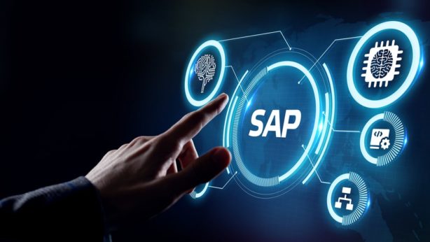 How Much Does SAP ERP Cost: Unveiling the Price Tag - Seibert ...
