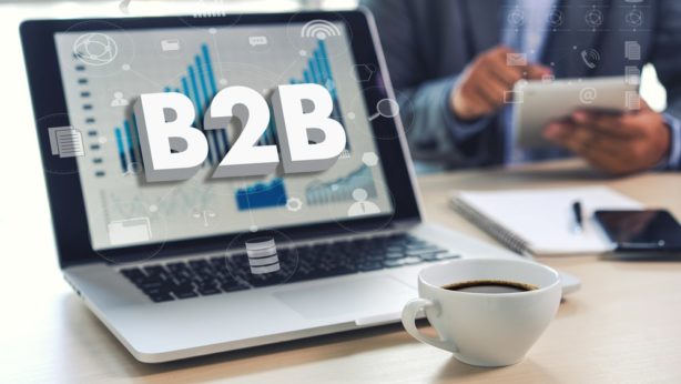 NetSuite B2B eCommerce: A Comprehensive Guide - Seibert Consulting LLC (SCG)